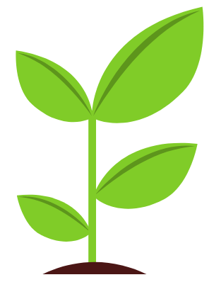 What does it mean to be a clinical champion? – PROMPPT